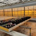 Zymofix - Microorganisms, macro solutions | biotope